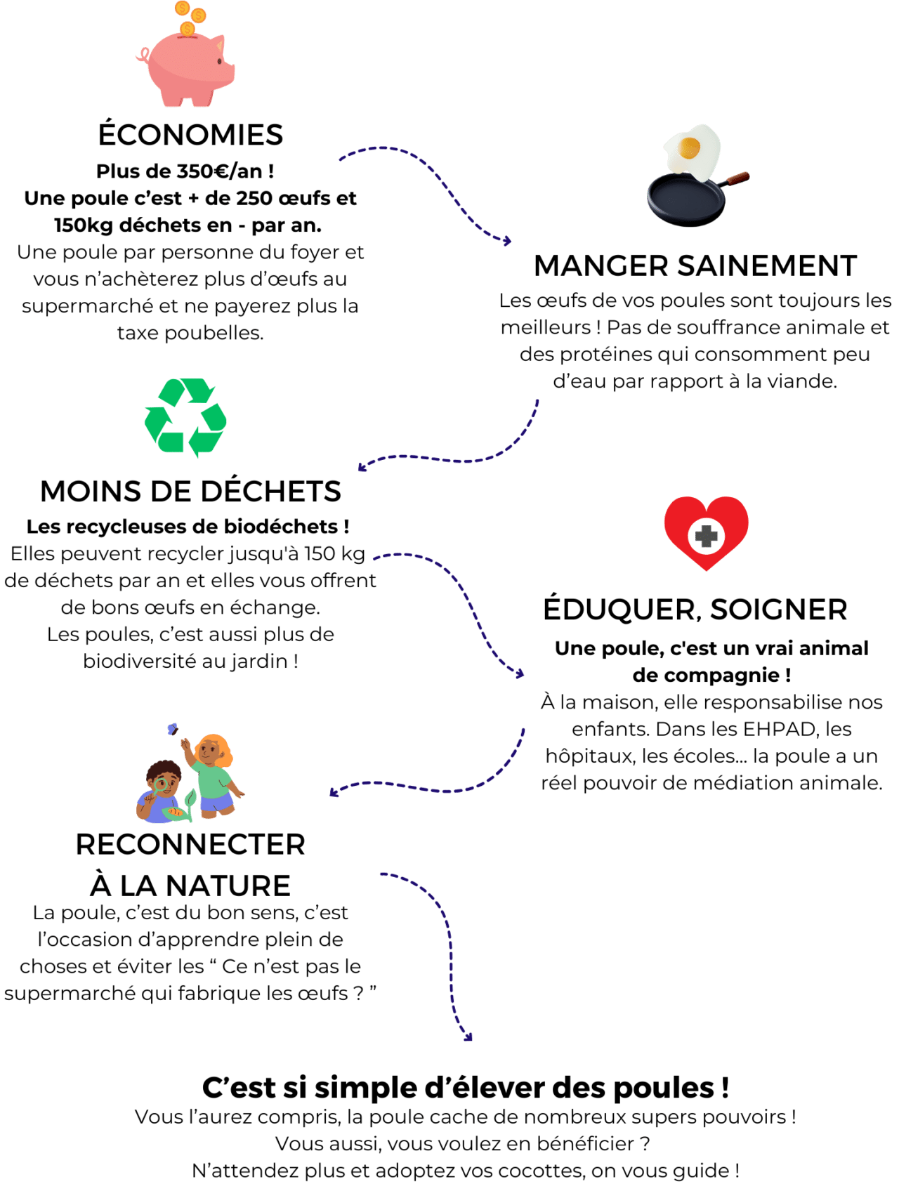 Pourquoi adopter des poules - Cot Cot House